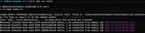 Github Hamzaalamtypescript Websocket Sdk