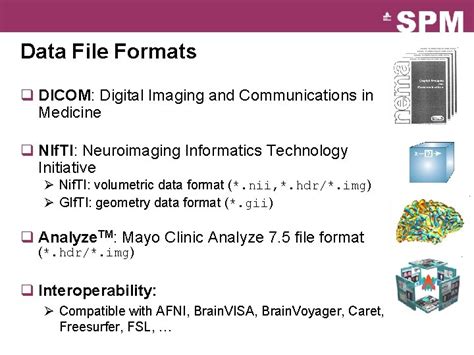 Statistical Parametric Mapping For F Mri Vbm Guillaume