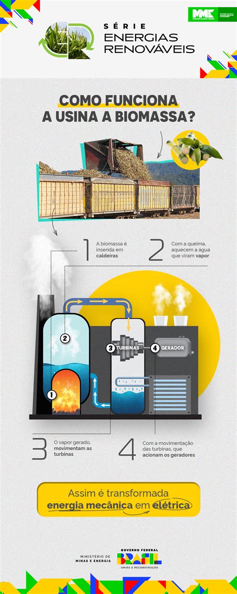 Energia De Biomassa No Brasil Renovação E Redução De Resíduos Blog