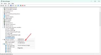 How To Hide The Microphone Icon In Windows