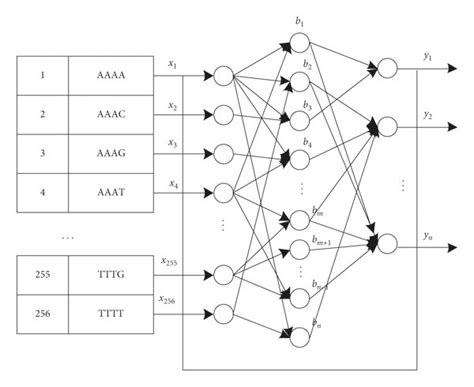 Feedback Learning Neural Network Index Position Relationship Model Download Scientific Diagram