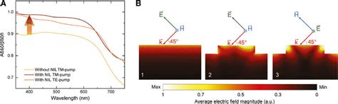 Calculations A Theoretically Calculated Absorption Spectra From A Download Scientific