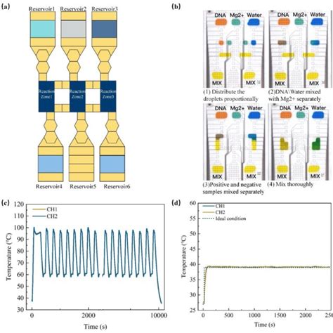 A Distribution Of Pcr Reaction Solution On A Digital Microfluidic Download Scientific Diagram
