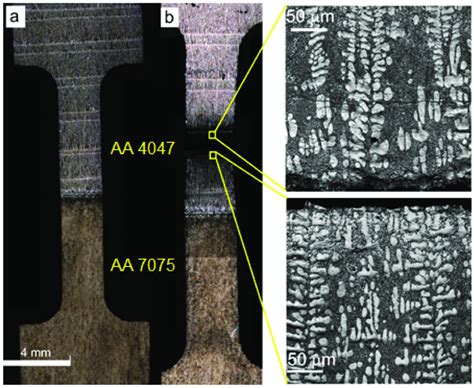 Tensile Sample Before A And After B Fracture With Dendritic