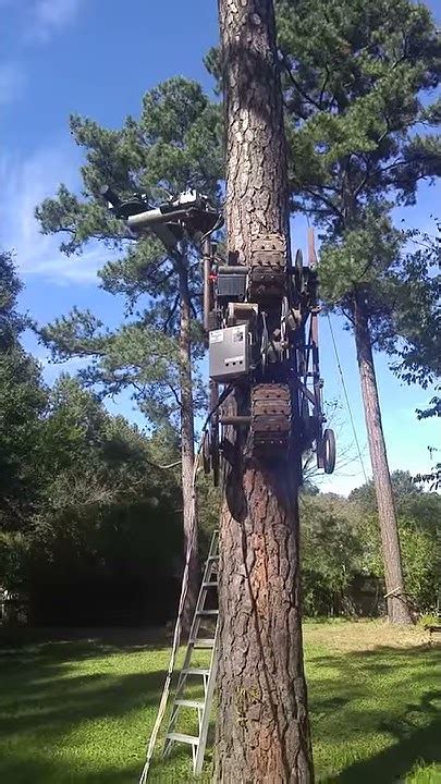 Tree Climbing Robot Youtube