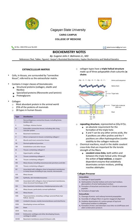 Extracellular Matrix Lecture Notes Cagayan State University CARIG CAMPUS COLLEGE OF MEDICINE