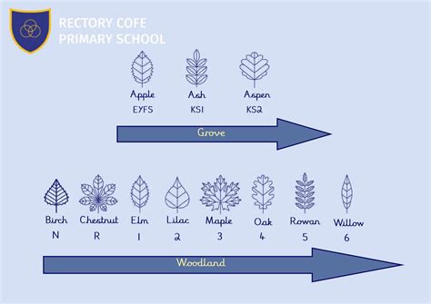 Class Structure Rectory Ce Primary School