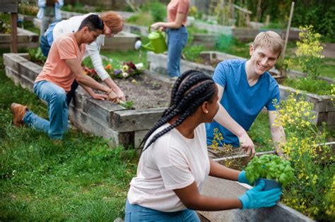 Public Health Benefits Of Community Gardens School Of Public Health