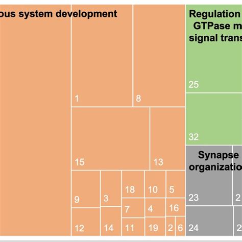 Treemap Visualization Of Biological Process Go Terms Small Rectangles