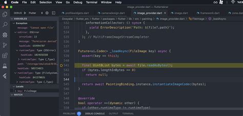 Android 10 Permission Denied · Issue 41613 · Flutterflutter · Github