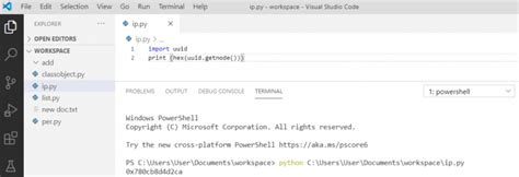 Python Get An Ip Address Python Guides
