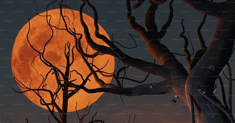 배경에 보름달이 있는 할로윈 장면 사진 Unsplash의 유령의 집 이미지