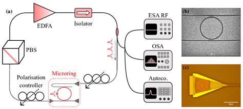 a hybrid architecture based on a nonlinear silicon microring