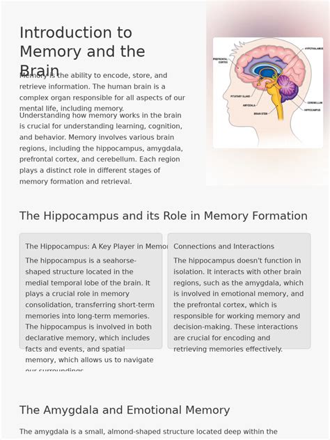 introduction to memory and the brain pdf memory hippocampus
