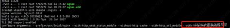 Nginxliunx安装nginx并安装realip模块nginx Realip模块安装 Csdn博客
