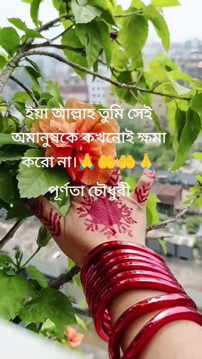 🙏🤲🤲🙏 ইয়া আল্লাহ সমস্ত বিচার তোমার উপর ছেড়ে দিলাম। Lshorts Viralvideo Heartbroken Shara