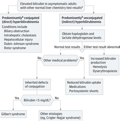 Gilberts Syndrome Elevation Of Serum Bilirubin Healthy Food Near Me