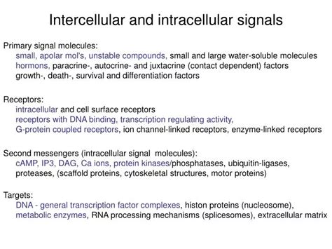 PPT Intercellular And Intracellular Signals PowerPoint Presentation Free Download ID