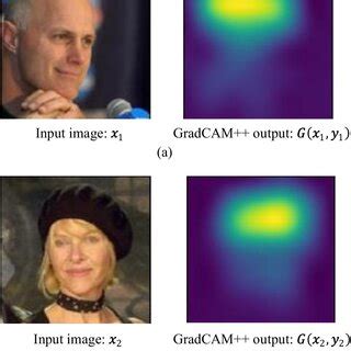 A And C Show The Generation Of Perturbed Image By Using FGSM Method Download Scientific