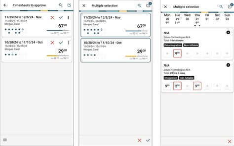 Netsuite Applications Suite Approving Or Rejecting Timesheets