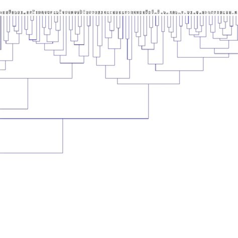 Level Of The Variability Of Morphometric Parameters Of Sambucus Nigra Download Scientific