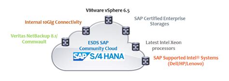 Sap Hana Community Cloud For Business Critical Sap Applications