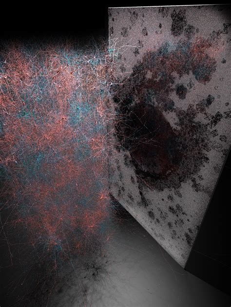 The Mind Boggling Math That Maybe Mapped The Brain In 11 Dimensions Wired