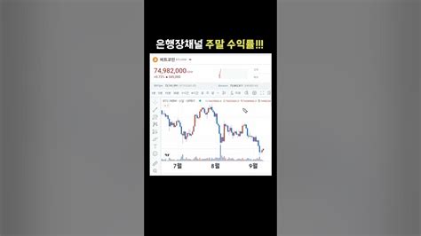 코인 투자로 경제적 자유를 이룰 수 있었던 비결을 알려드립니다 Youtube