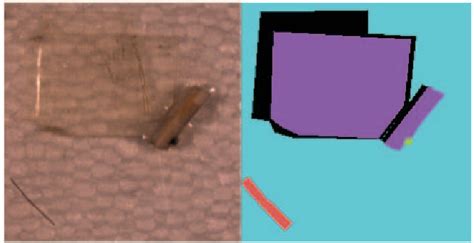 Figure 1 From Hyperspectral Image Classification For Foreign Bodies In