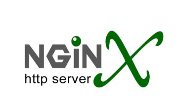 Nginx Logo LogoDix