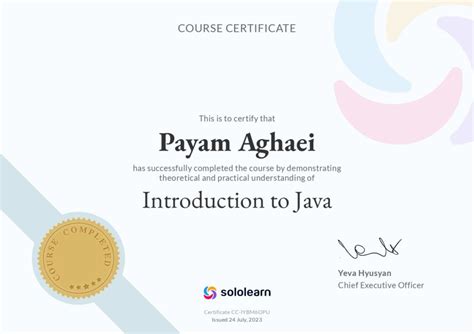 payam aghaei on linkedin sololearn introduction to java certificate