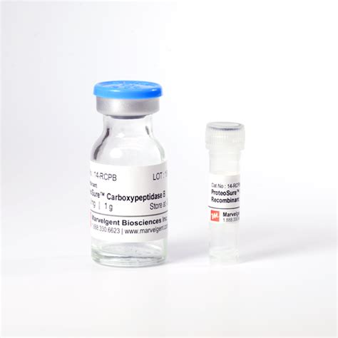 Recombinant Carboxypeptidase B Aof Marvelgent Biosciences