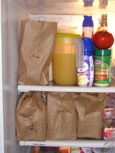 Artificial Pancreas Algorithm Project Fandom