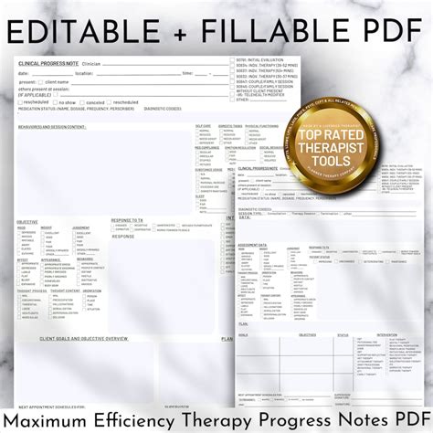 Soap Progress Note Template Fillable Client Counseling Notes Pdf Etsy