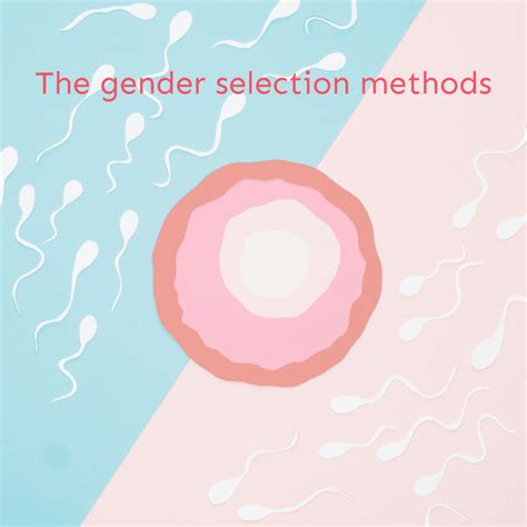 Guide Dexperts Sur Les Méthodes De Sélection Du Sexe Par Fiv Pgt