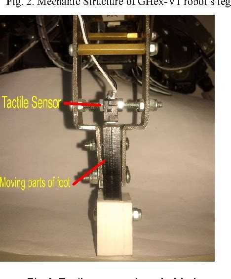 Figure 3 From Terrain Adaptation Gait Algorithm In A Hexapod Walking
