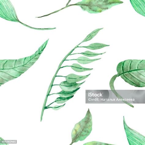 수채화 손 은 녹색 열대 잎과 섬유 및 배경 화면의 흰색 배경에 고립 된 유칼립투스 가지와 자연 정글 원활한 패턴을 그린 0명에 대한 스톡 벡터 아트 및 기타 이미지