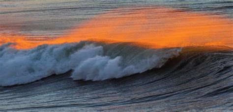 Predicting Future Hotspots In The Red Sea Kaust Discovery