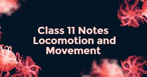 Locomotion And Movement Class 11 Notes Vidyakul Locomotion And Movement Class 11 Notes Vidyakul
