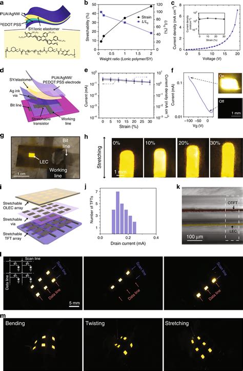 Fully Stretchable Amolec Array A Schematic Of The Stretchable Download Scientific Diagram
