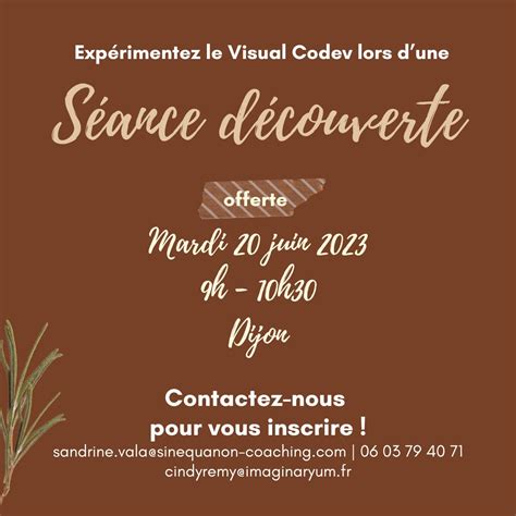 Visual Codev Sinequanon Coaching