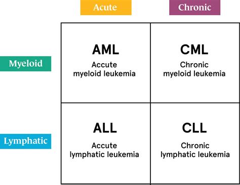 Leukemia And Lymphoma The Differences And Similarities