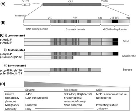 Degree Of Protein Truncation Correlates With Severity Of Growth Failure