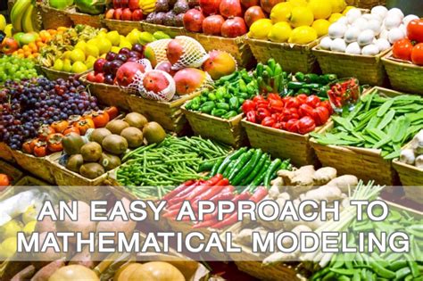 An Easy Approach To Mathematical Modeling Math For Grownups