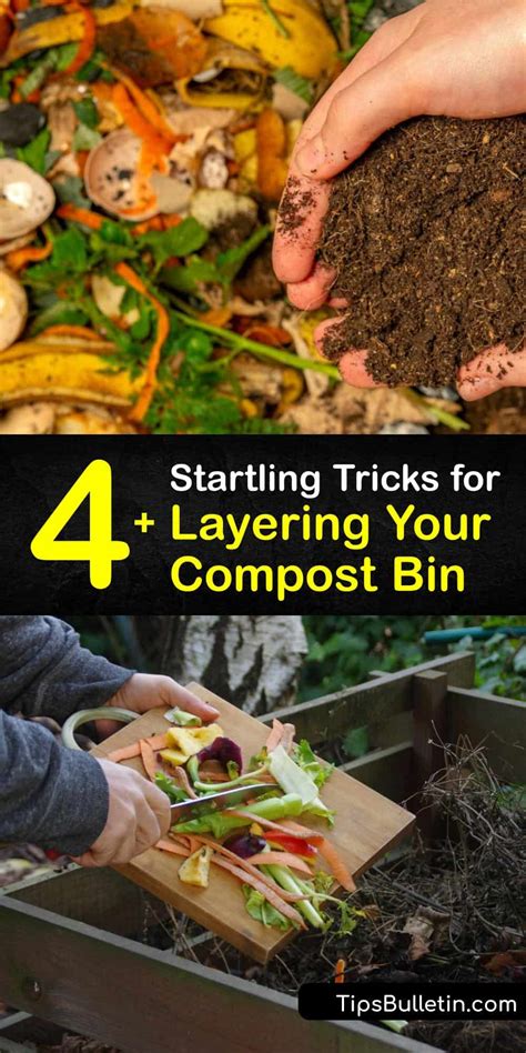 Smart Compost Layering What Goes In The Compost Pile