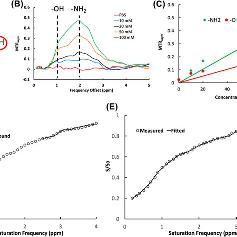 Dual Peak Lorentzian Fitting Based On The Cest Effects Of Nh2 And Oh