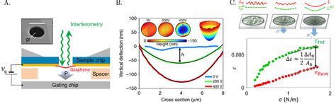 A Schematic Of The Experimental Setup Used To Measure Deflection Of Download Scientific