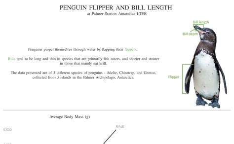 Penguin Flipper Diagram