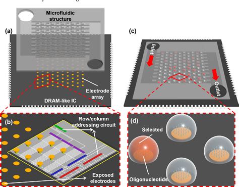 Figure 1 From A Novel Dna Synthesis Platform Design With High