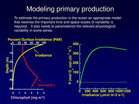 PPT Phytoplankton And Primary Productivity PowerPoint Presentation Free Download ID 477188
